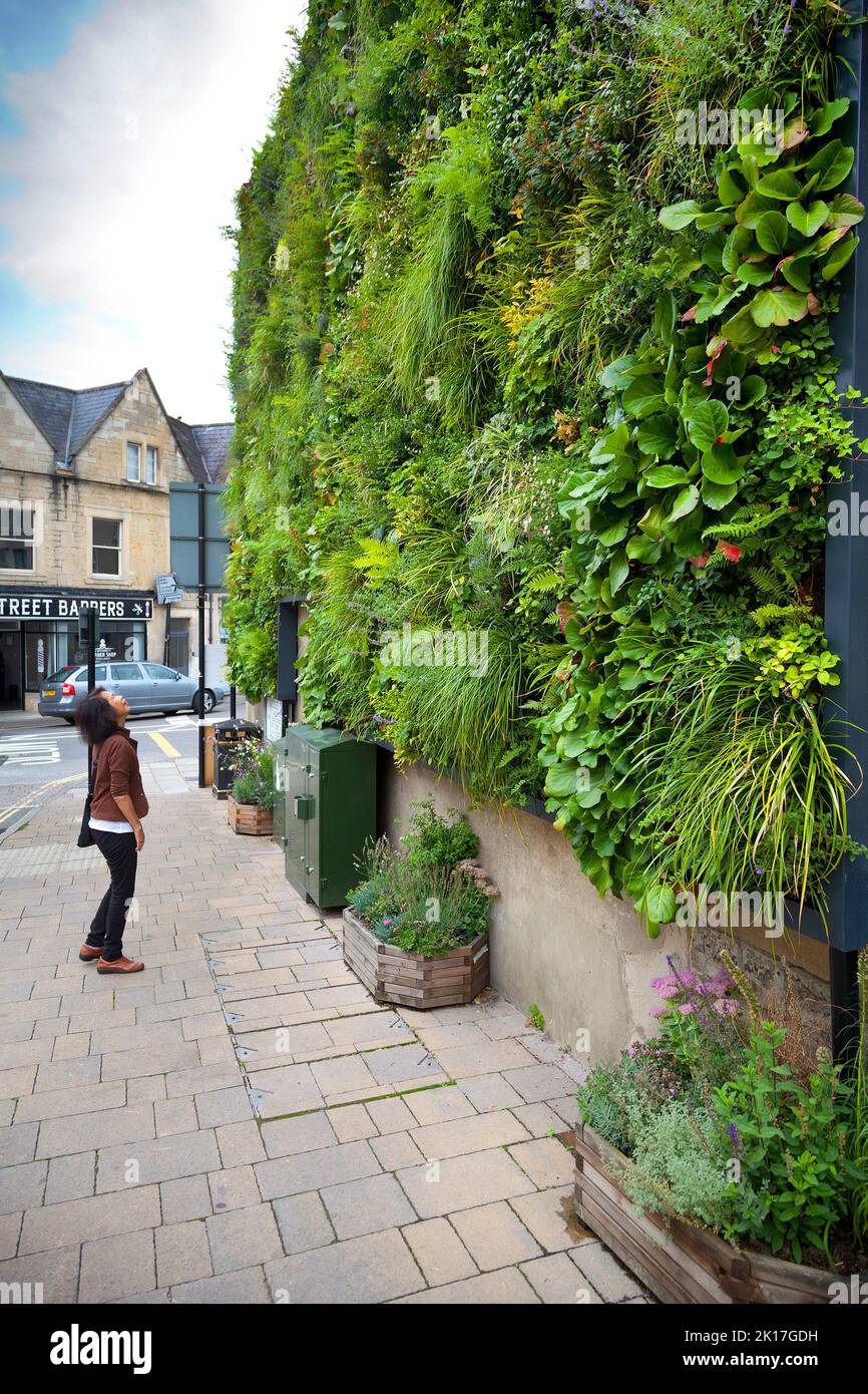 Garden living wall hi-res stock photography and images - Alamy