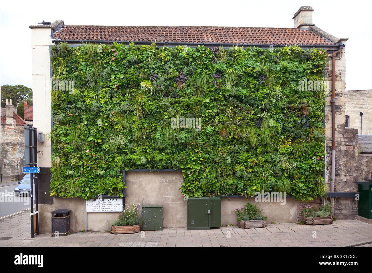 Vertical garden living wall, Bradford on Avon. UK Stock Photo - Alamy