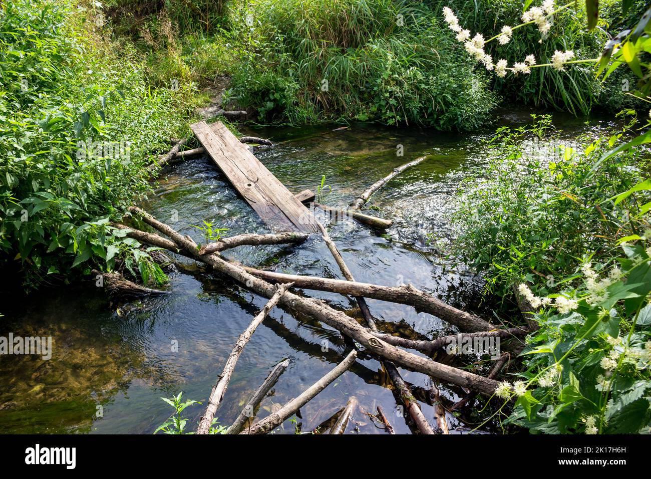 Throwed branches and boards for crossing the stream, a makeshift bridge ...