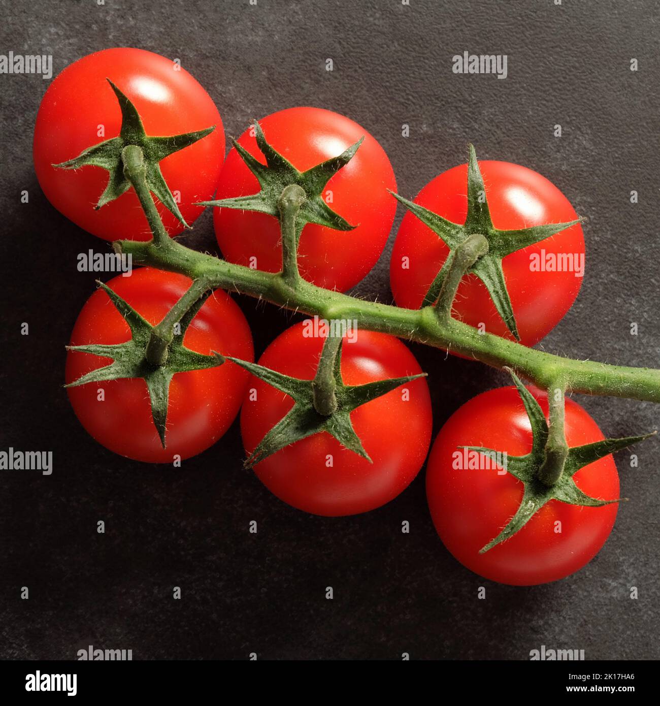Small cherry tomatoes on vine shot from above on dark background Stock ...