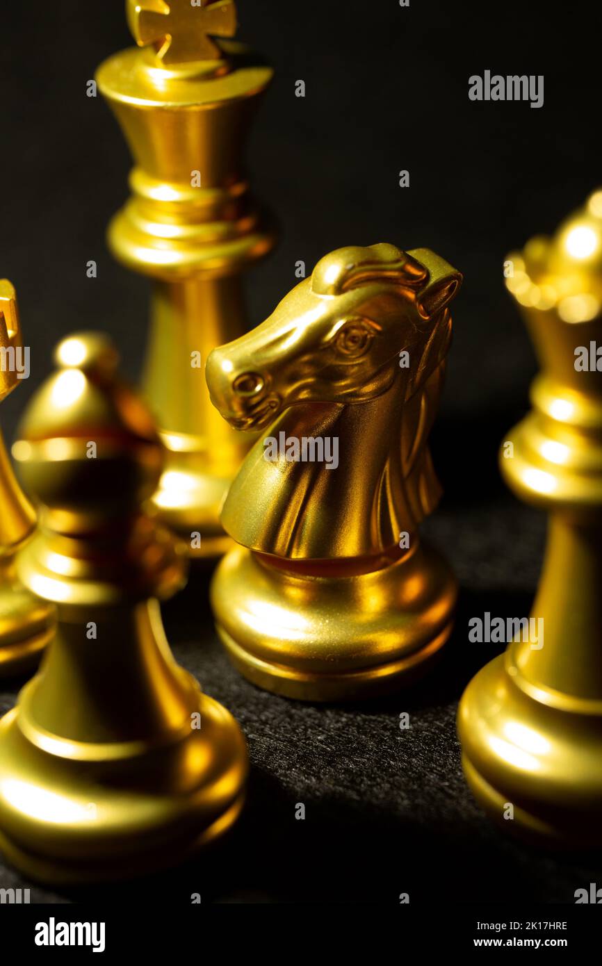 Golden knight chess piece close-up on black background Stock Photo - Alamy