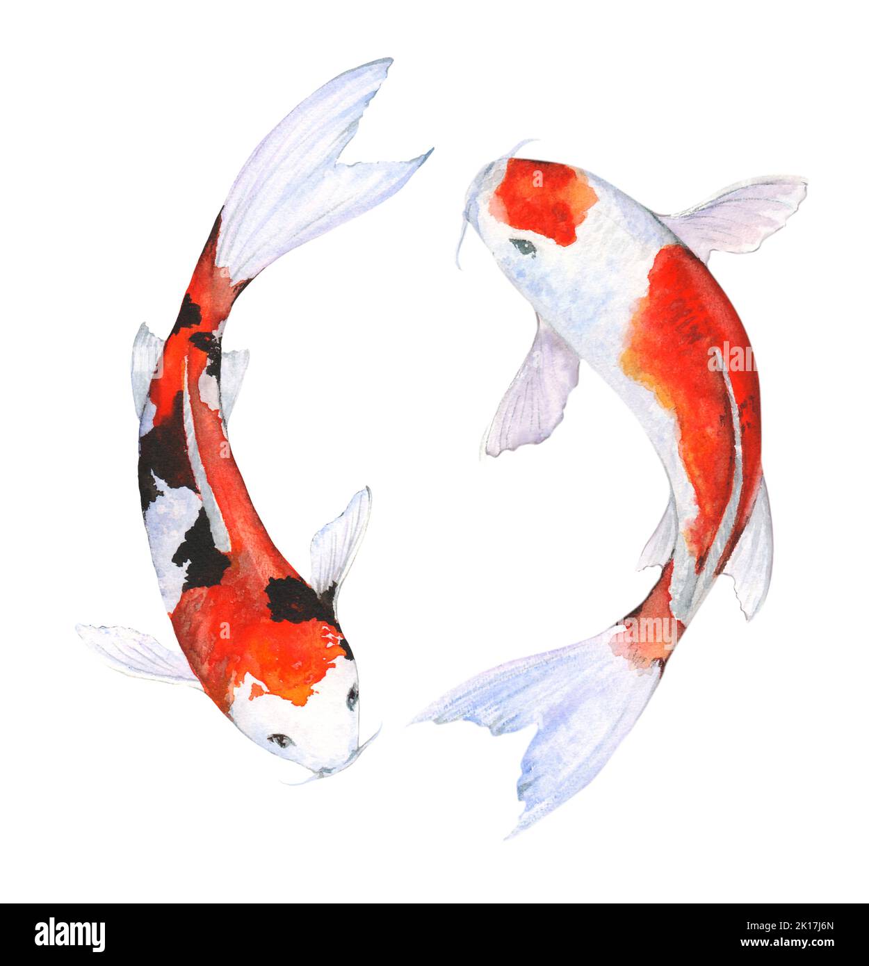 Watercolor fish illustration hi-res stock photography and images - Alamy