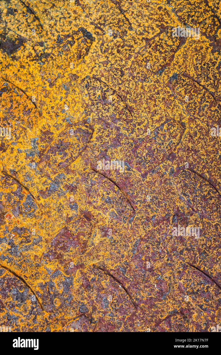 Grunge metal background, rusty steel texture close-up. Textured ...