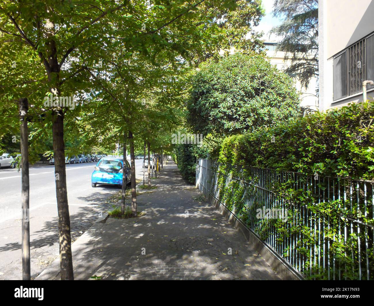 City sidewalk on an empty street lined with green trees on both sides ...