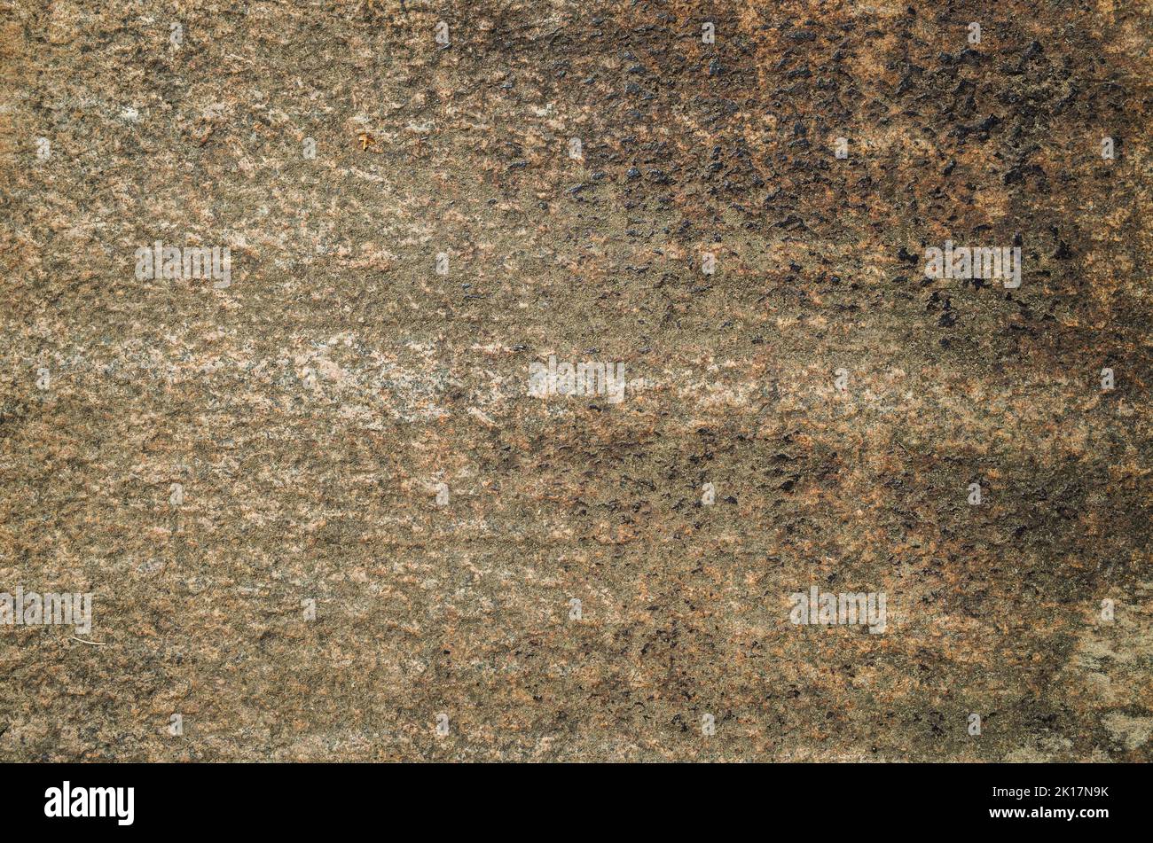 Textured beautiful natural abstract surface for wallpapers and ...