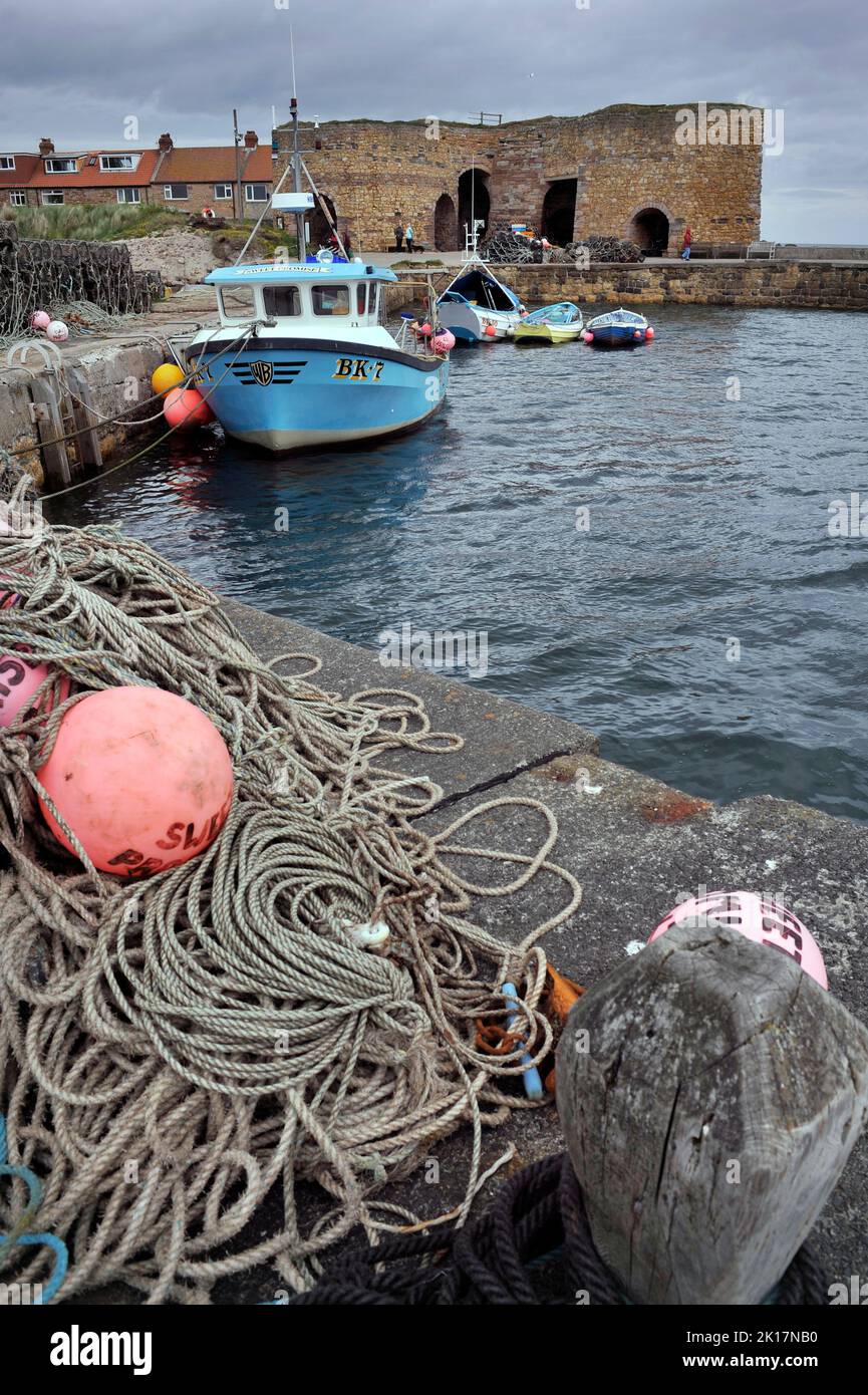 beadnell harbour beadnell northumberland england Stock Photo - Alamy