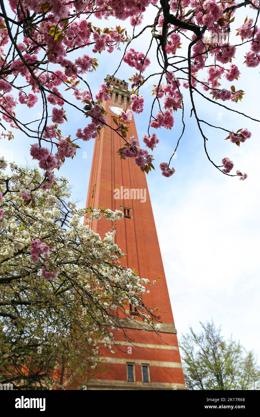 A below view of the Joseph Chamberlain memorial clock tower in ...