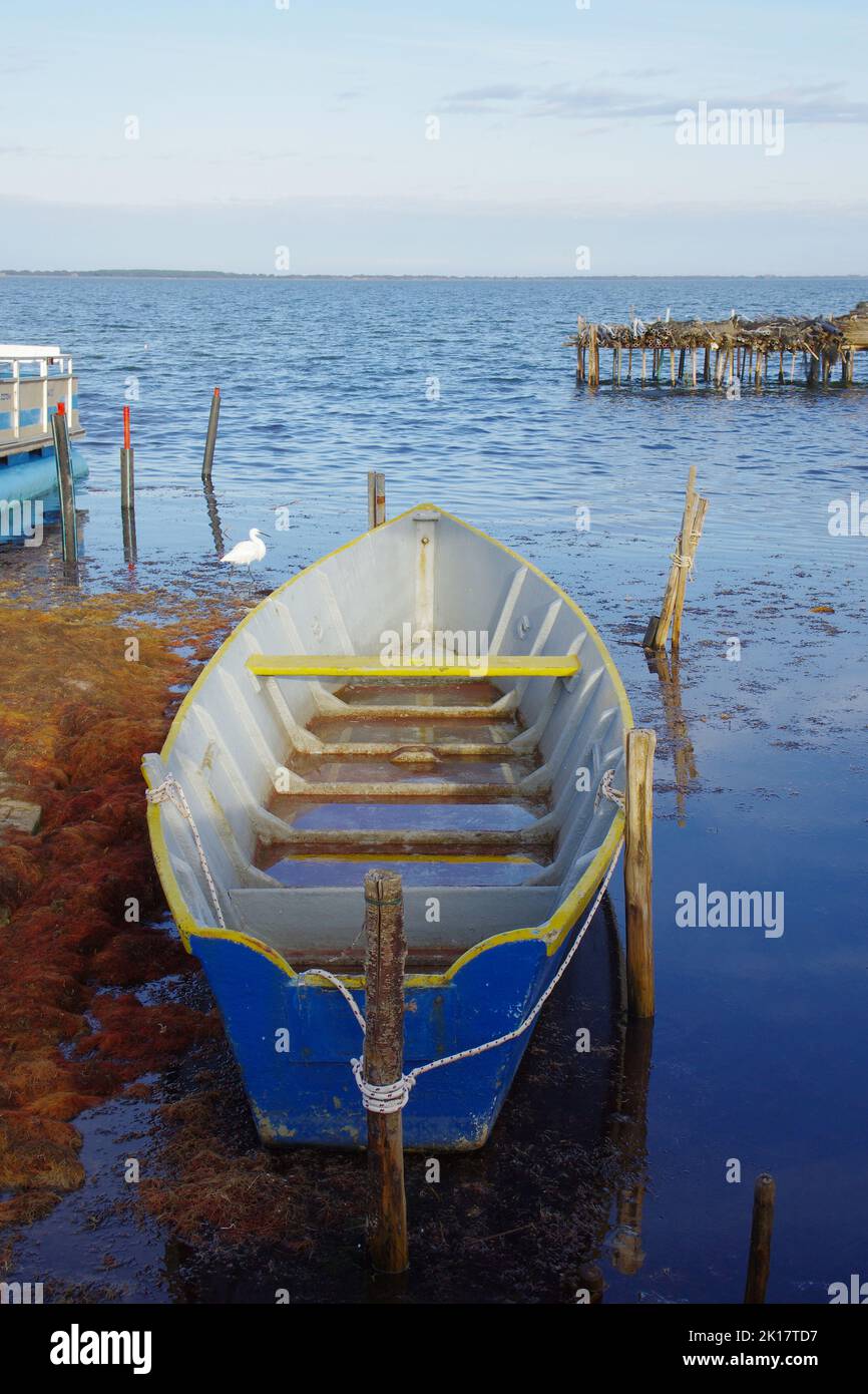 Lesina and its lake - Gargano - Puglia Stock Photo - Alamy