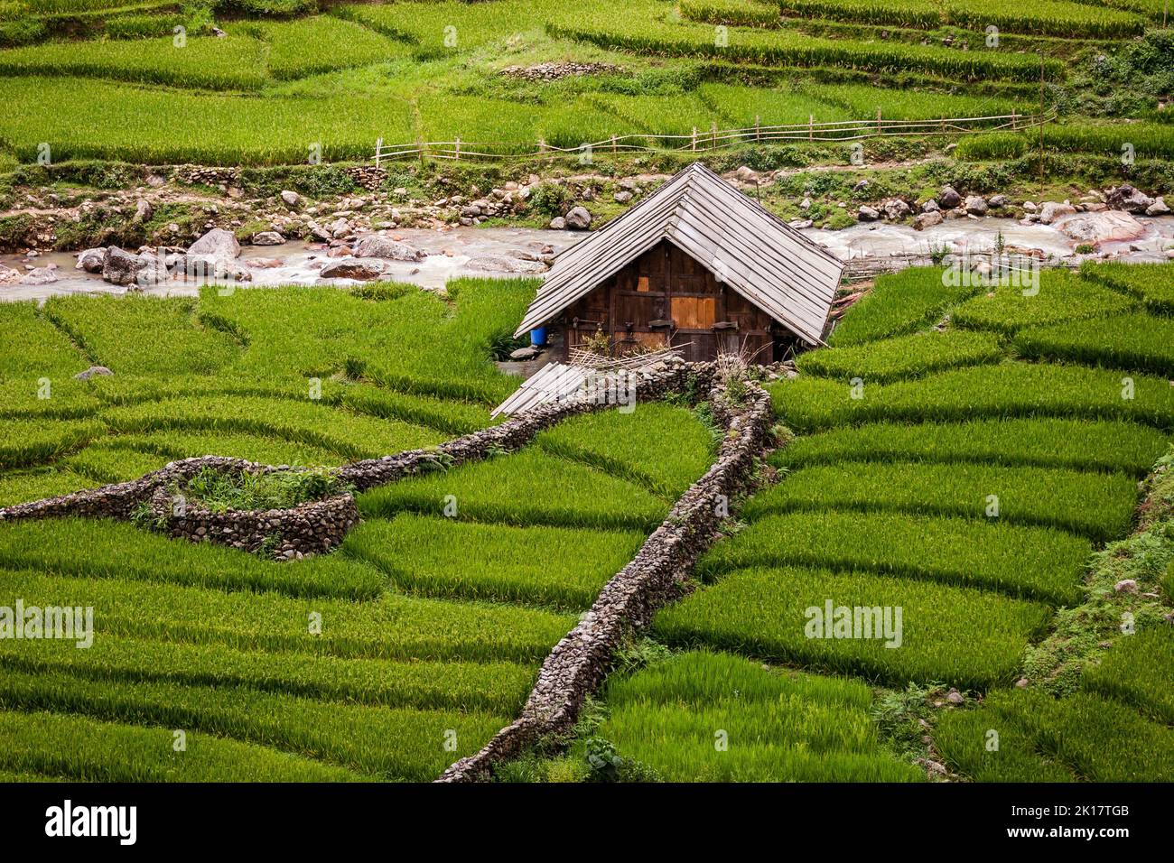Looking the rice field in the Sapa Mountain in Vietnam Stock Photo - Alamy
