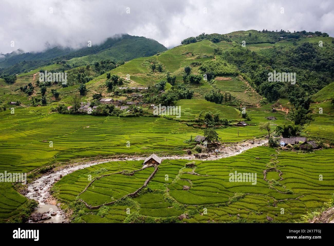Looking the rice field in the Sapa Mountain in Vietnam Stock Photo - Alamy