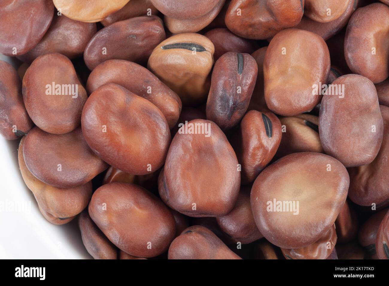 Dried brown fava beans or broad beans, an important ingredient in ...