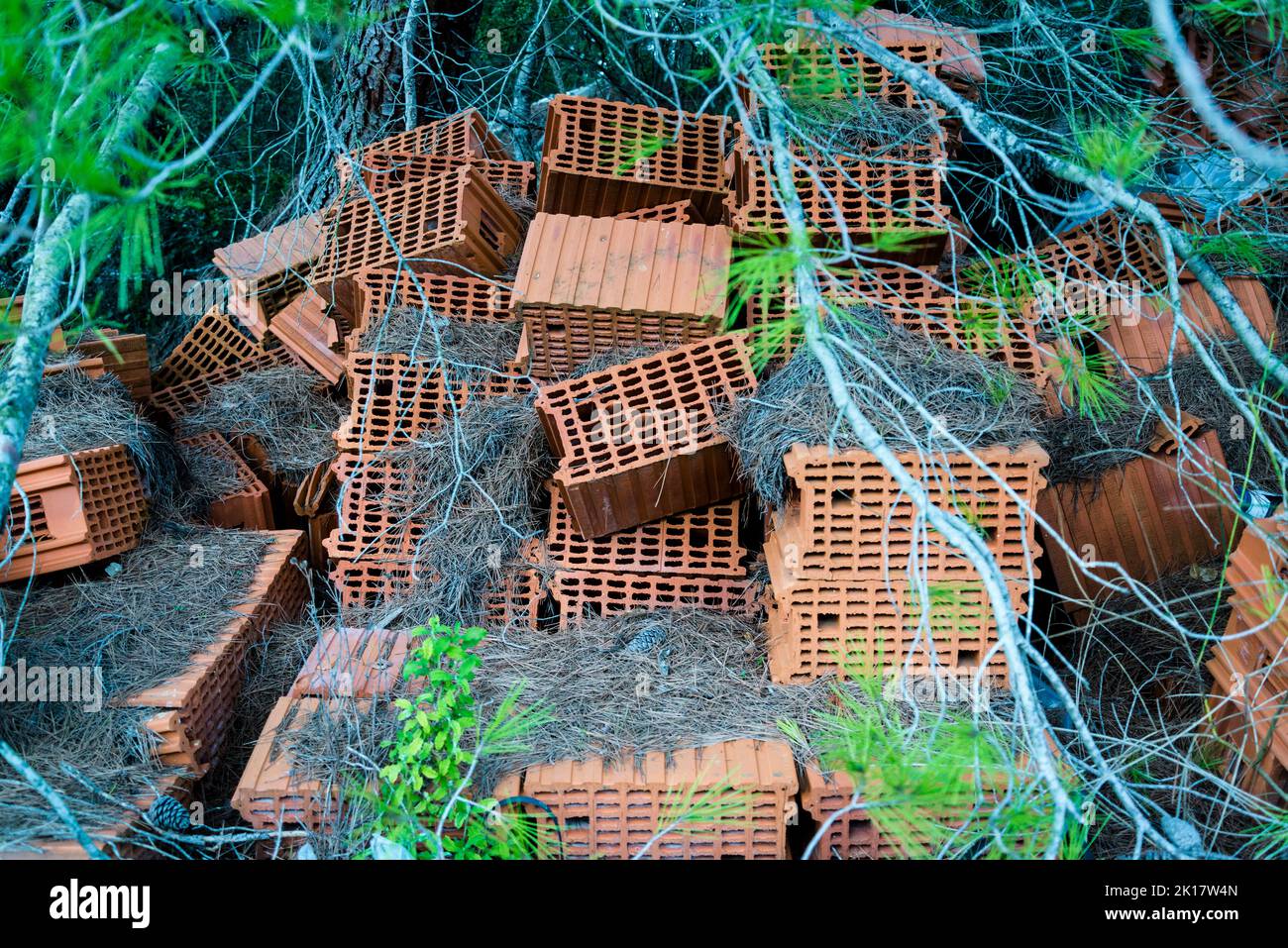 Load of bricks under a fir tree, Mali Iz, Island of Iz, Zadar ...