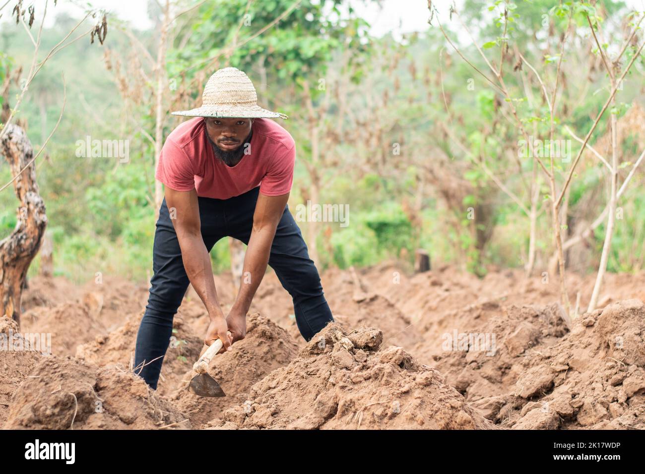 african farmer working in a farm Stock Photo - Alamy