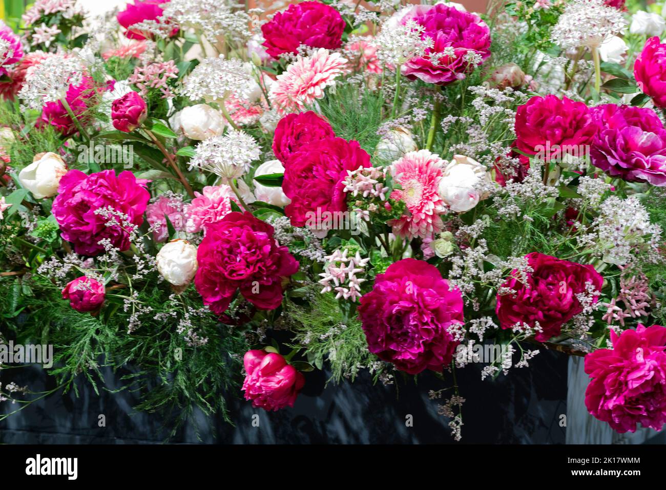 Red peony rose bouquet with Gypsophilla and green Stock Photo - Alamy