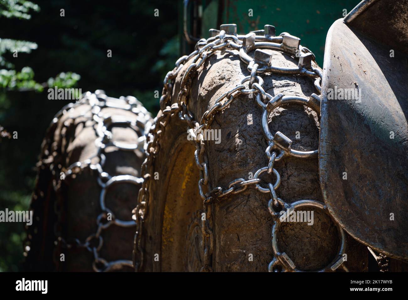 Traction chains on the big wheel of a forest log truck tree harvester ...