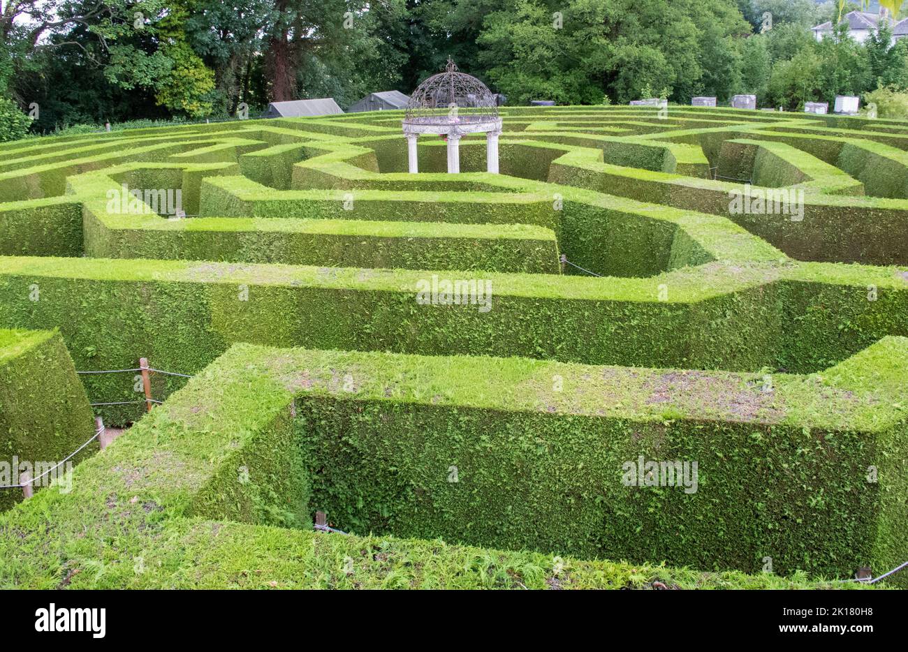 Maze made from hedges Stock Photo - Alamy