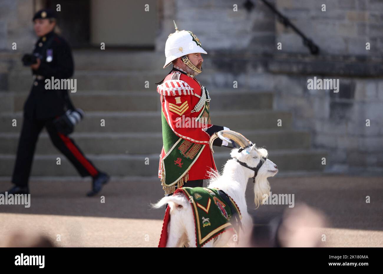 The goat major hi-res stock photography and images - Alamy