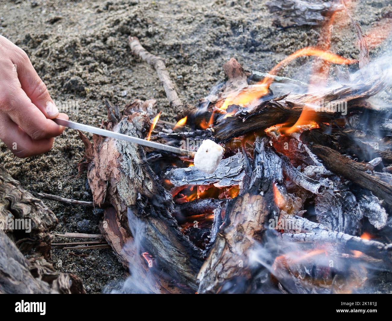 Traditional fun of roasting marshmallows over an open fire Stock Photo ...