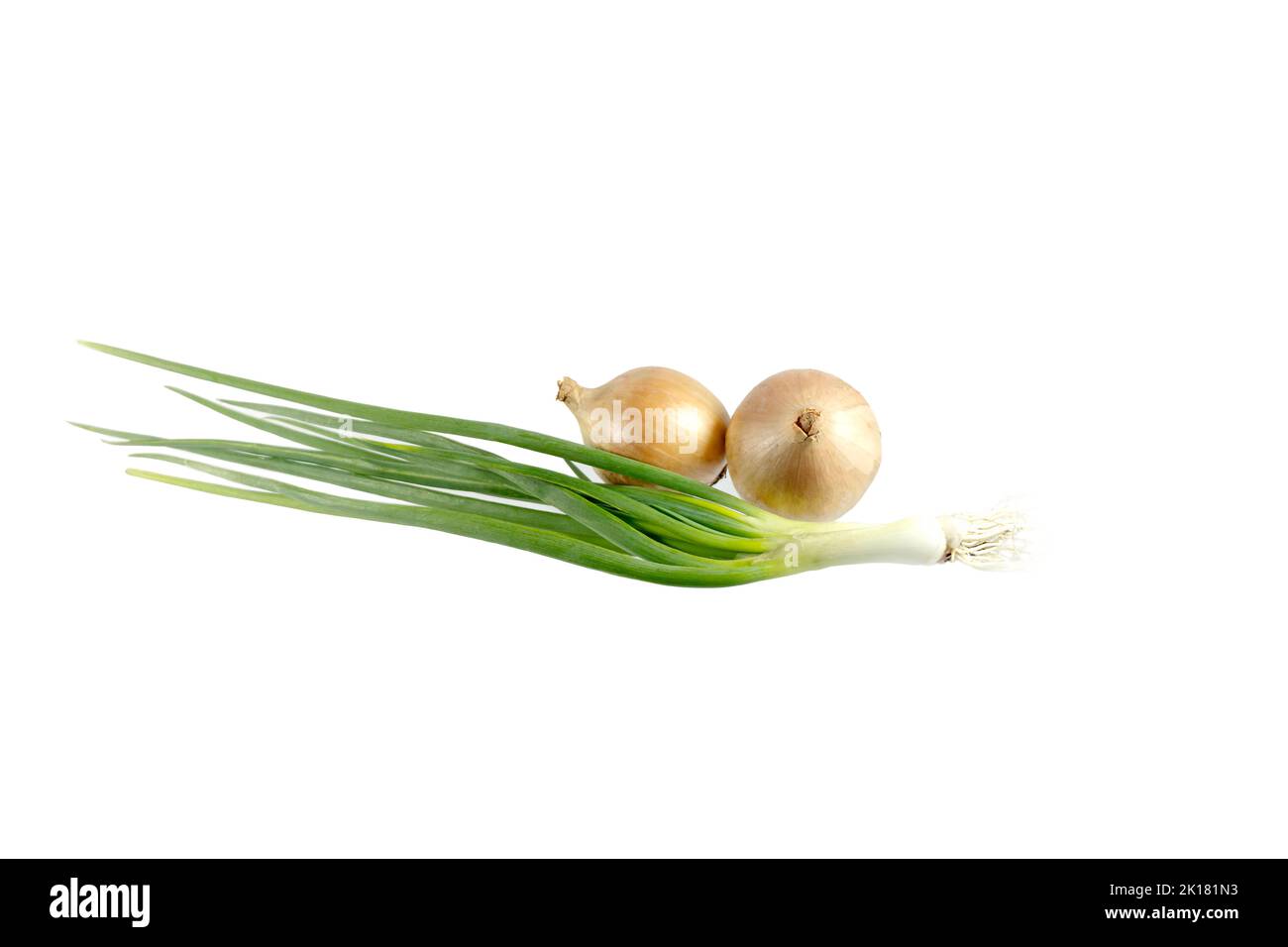 green scallions bunch and onion bulbs isolated on white background ...