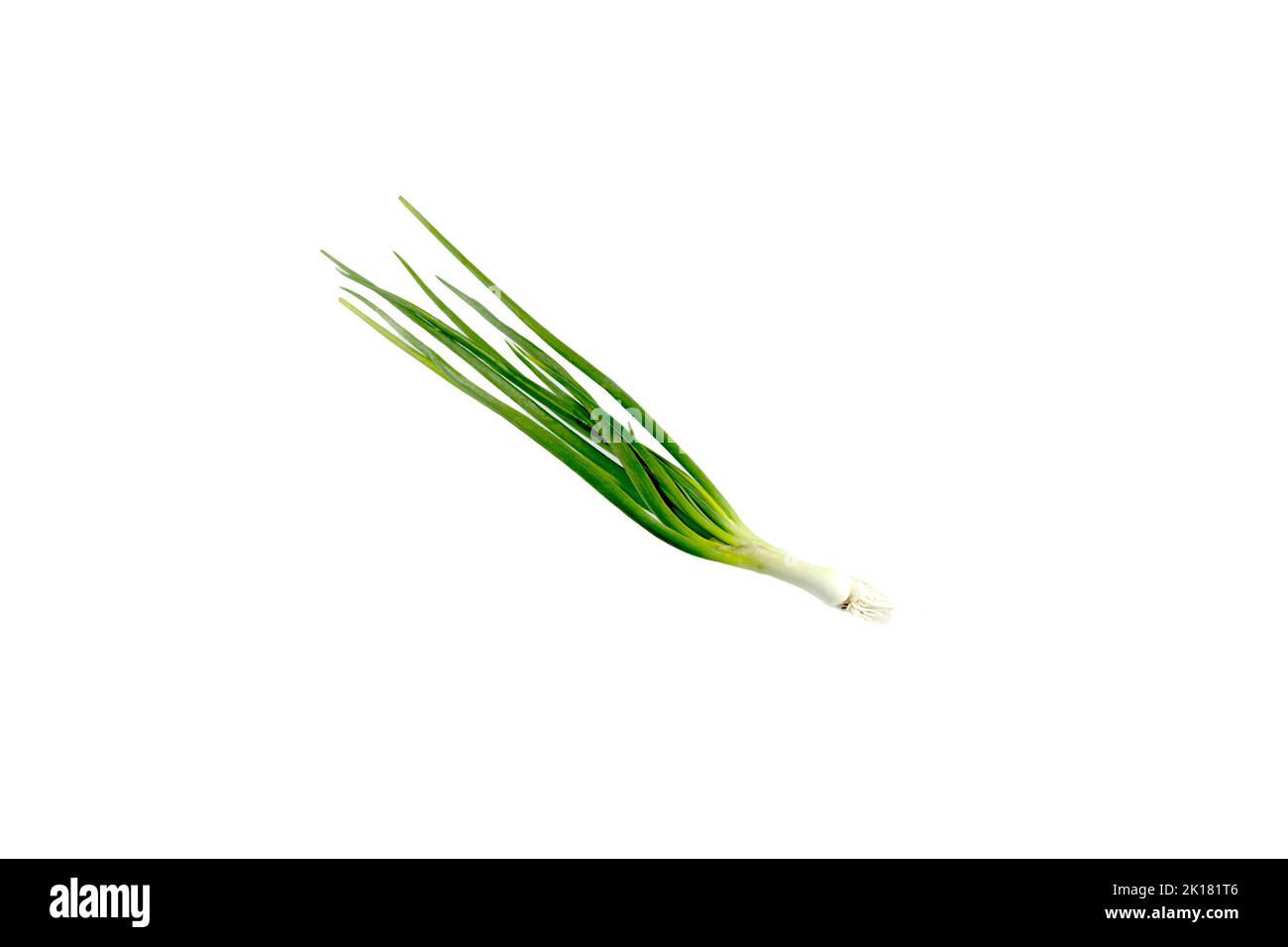 top view of green spring onion bunch, isolated on the white background ...