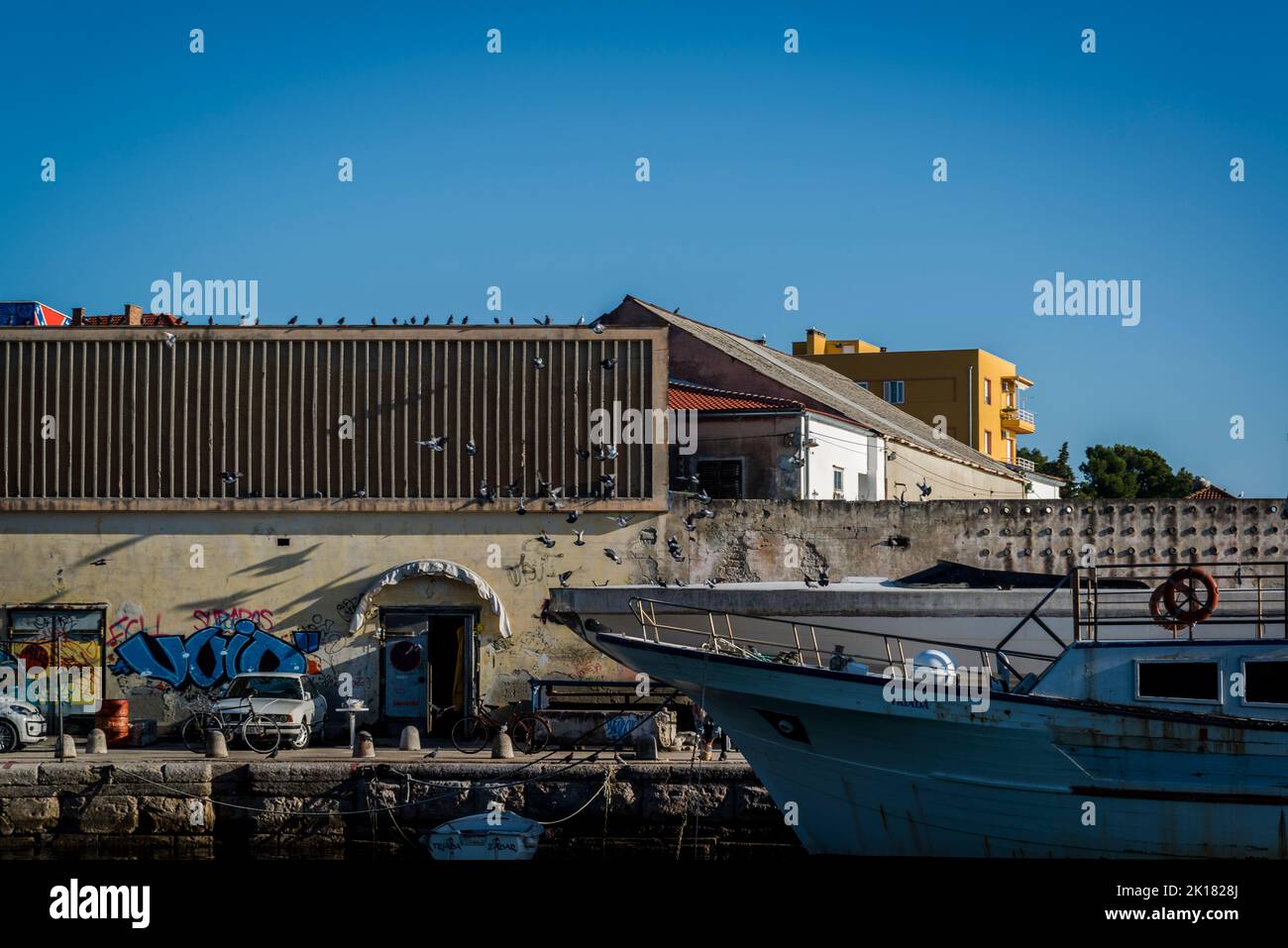 Birds in flight in a small harbour, Zadar, Dalmatia, Croatia Stock ...