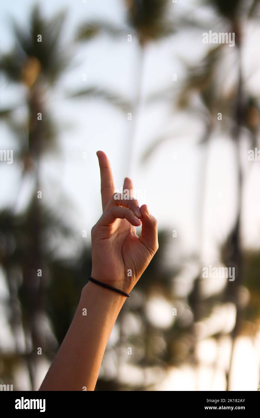 A vertical shot of a hand showing a peace sign with a blurry background ...