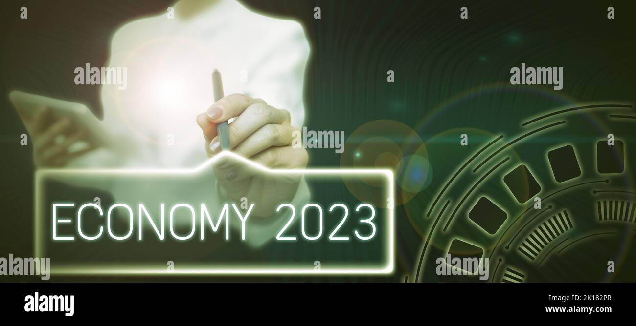 Conceptual caption Economy 2023. Business overview State of wealth and ...