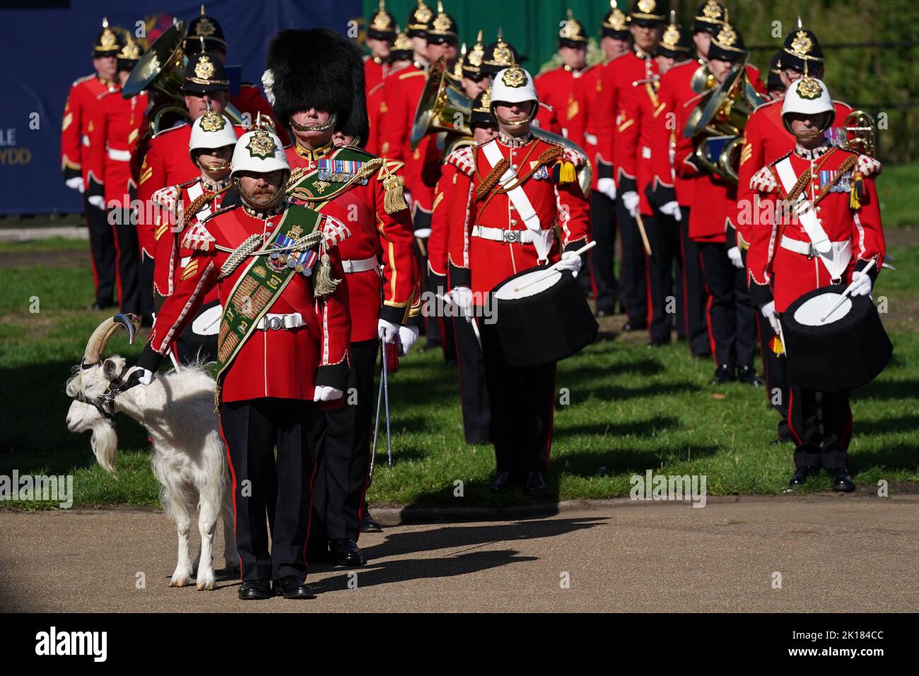 Lance Corporal Shenkin IV, the regimental mascot goat of the Third ...