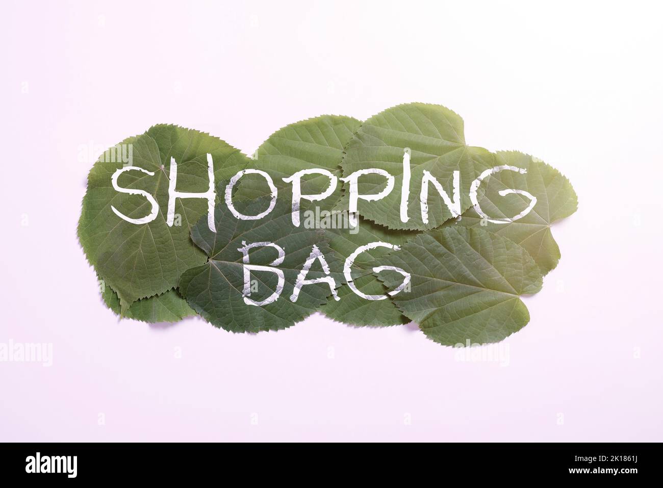 Conceptual caption Shopping Bag. Business showcase Containers for ...