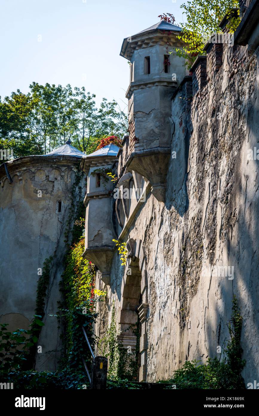 Castle Bosiljevo, medieval castle owned by Frankopan family and now in ...