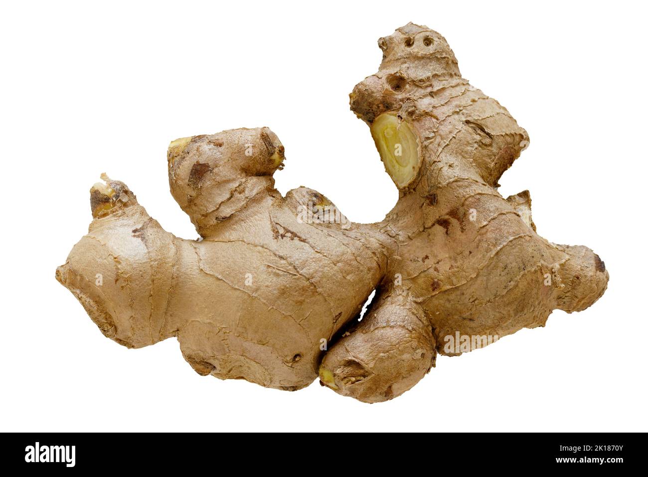 A ginger root for spice the food Stock Photo - Alamy