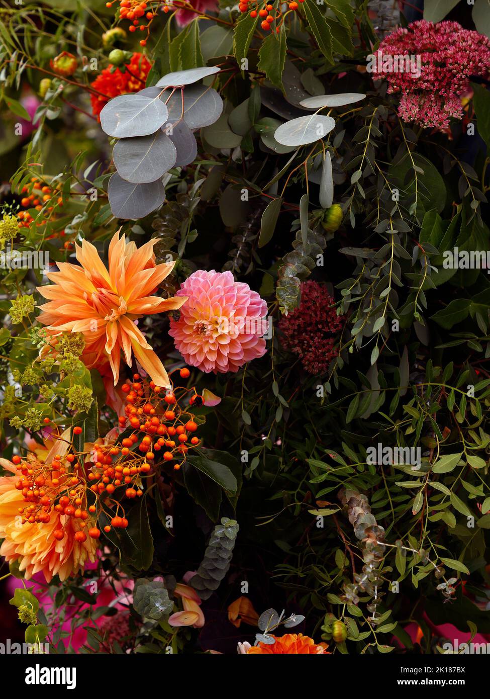 Close up of a display of garden plants displayed vertically in a garden ...
