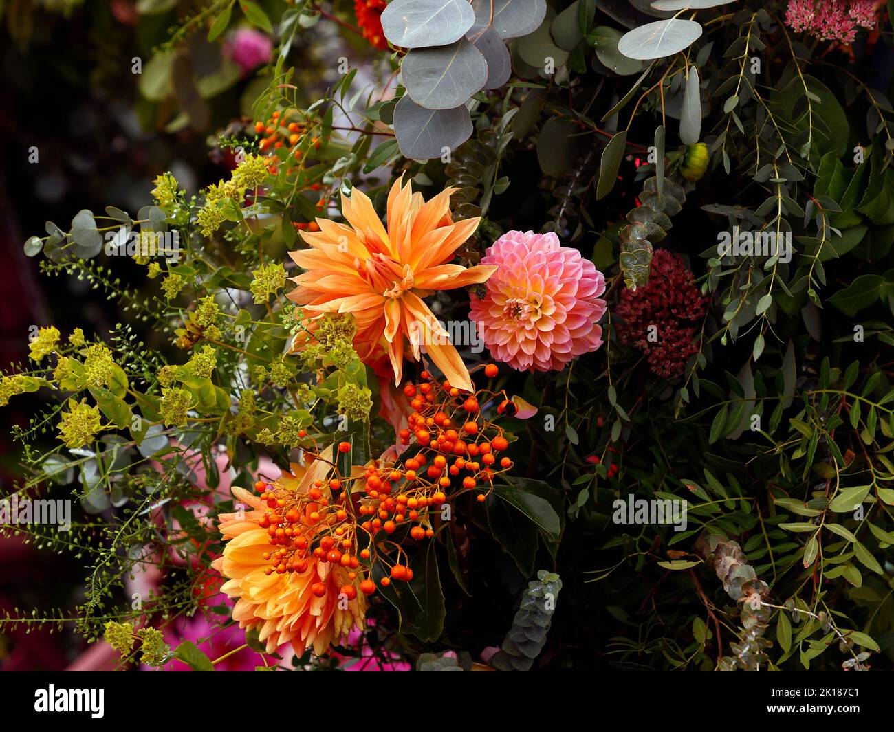 Close up of a display of garden plants displayed vertically in a garden ...