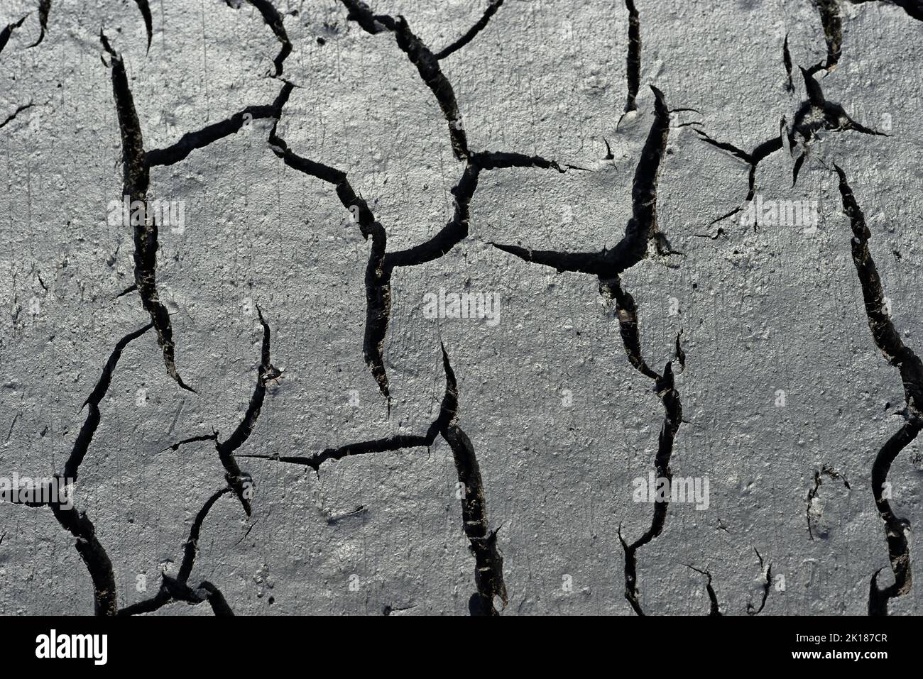 Desertification process where biological productivity is lost due to ...