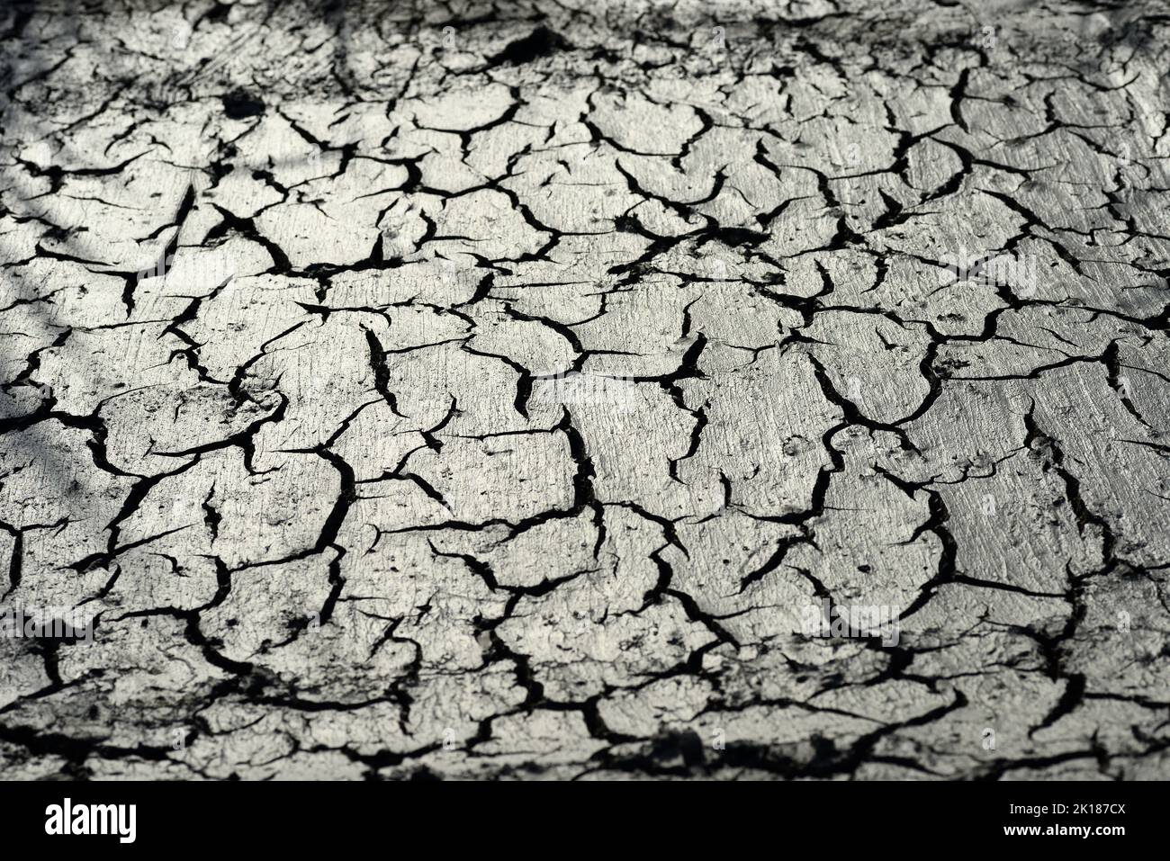 Desertification process where biological productivity is lost due to ...