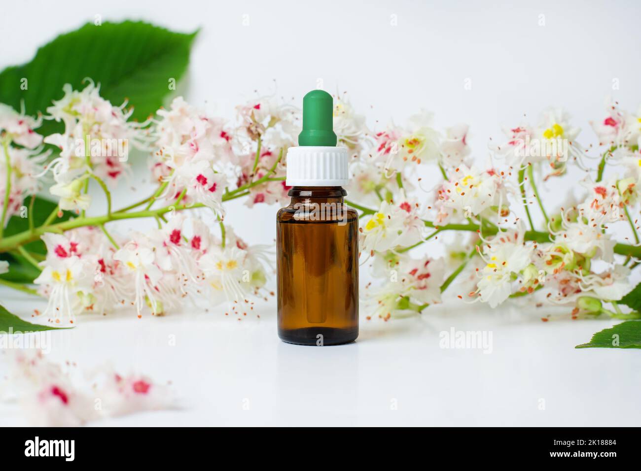 Bottle of horse chestnut extract, essence of chestnut flowers ...