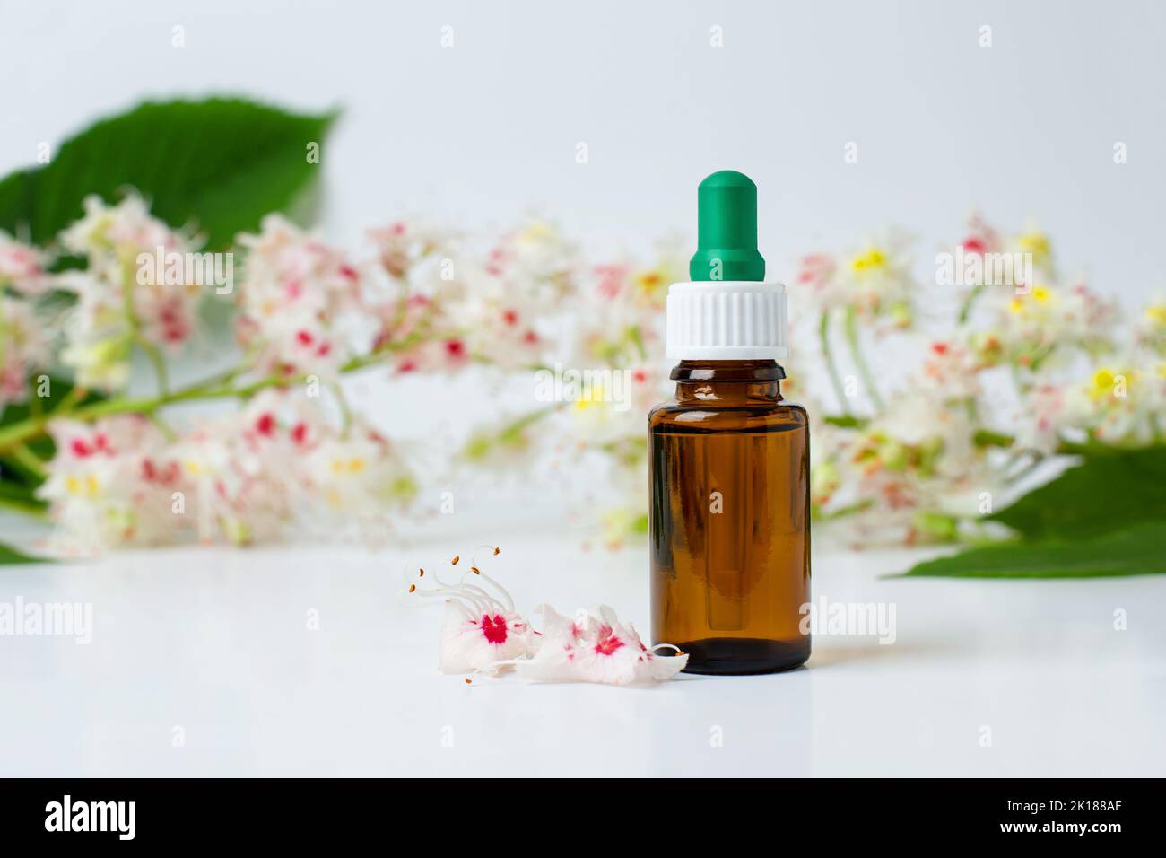 Bottle of horse chestnut extract, essence of chestnut flowers ...