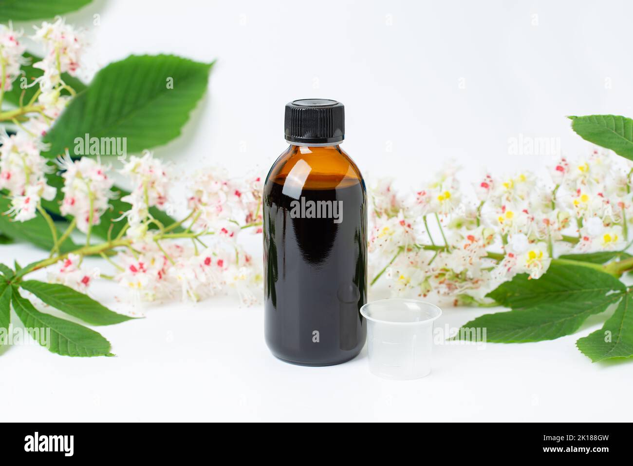 Bottle of horse chestnut extract, essence of chestnut flowers ...