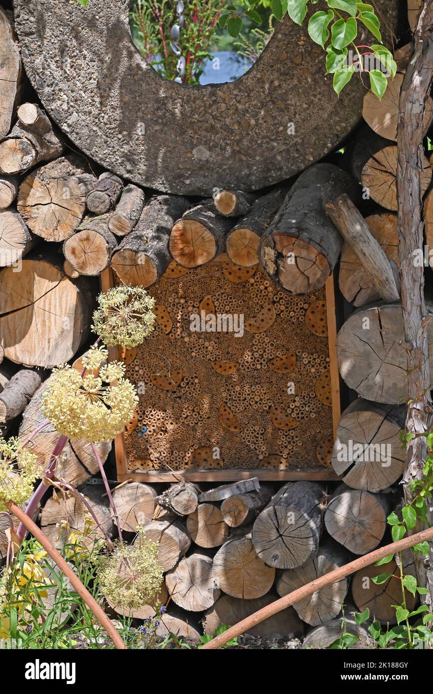 A beautiful natural bamboo fence in a garden Stock Photo - Alamy