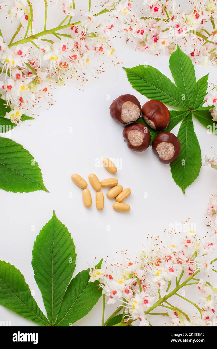 Bottle of horse chestnut extract, essence of chestnut flowers ...
