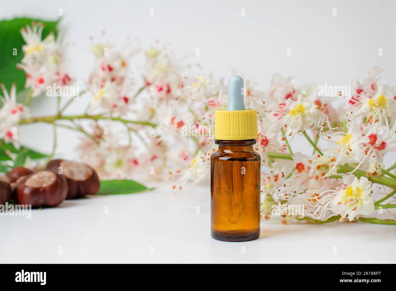 Bottle of horse chestnut extract, essence of chestnut flowers ...