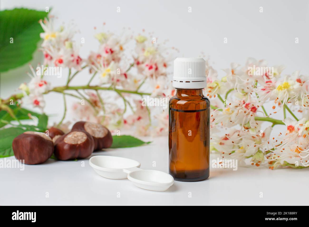 Bottle of horse chestnut extract, essence of chestnut flowers ...