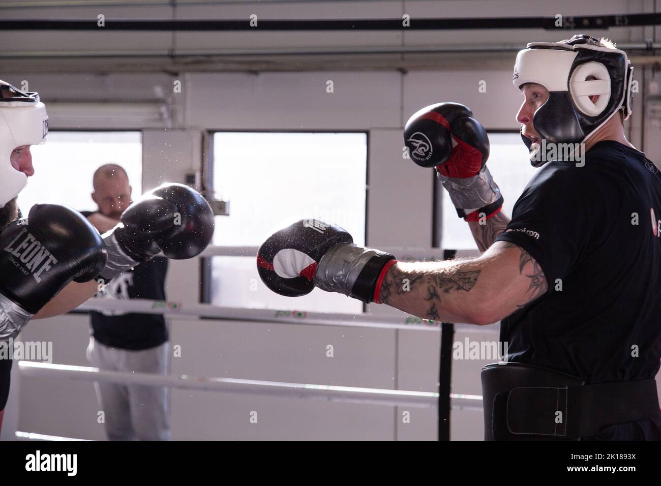 Finnish heavyweight Robert Helenius sparring at his training gym in ...