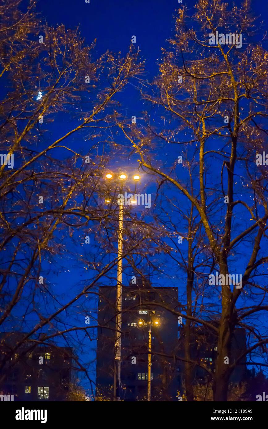 Urban Landscape, street lamp, trees, buildings at night Stock Photo - Alamy