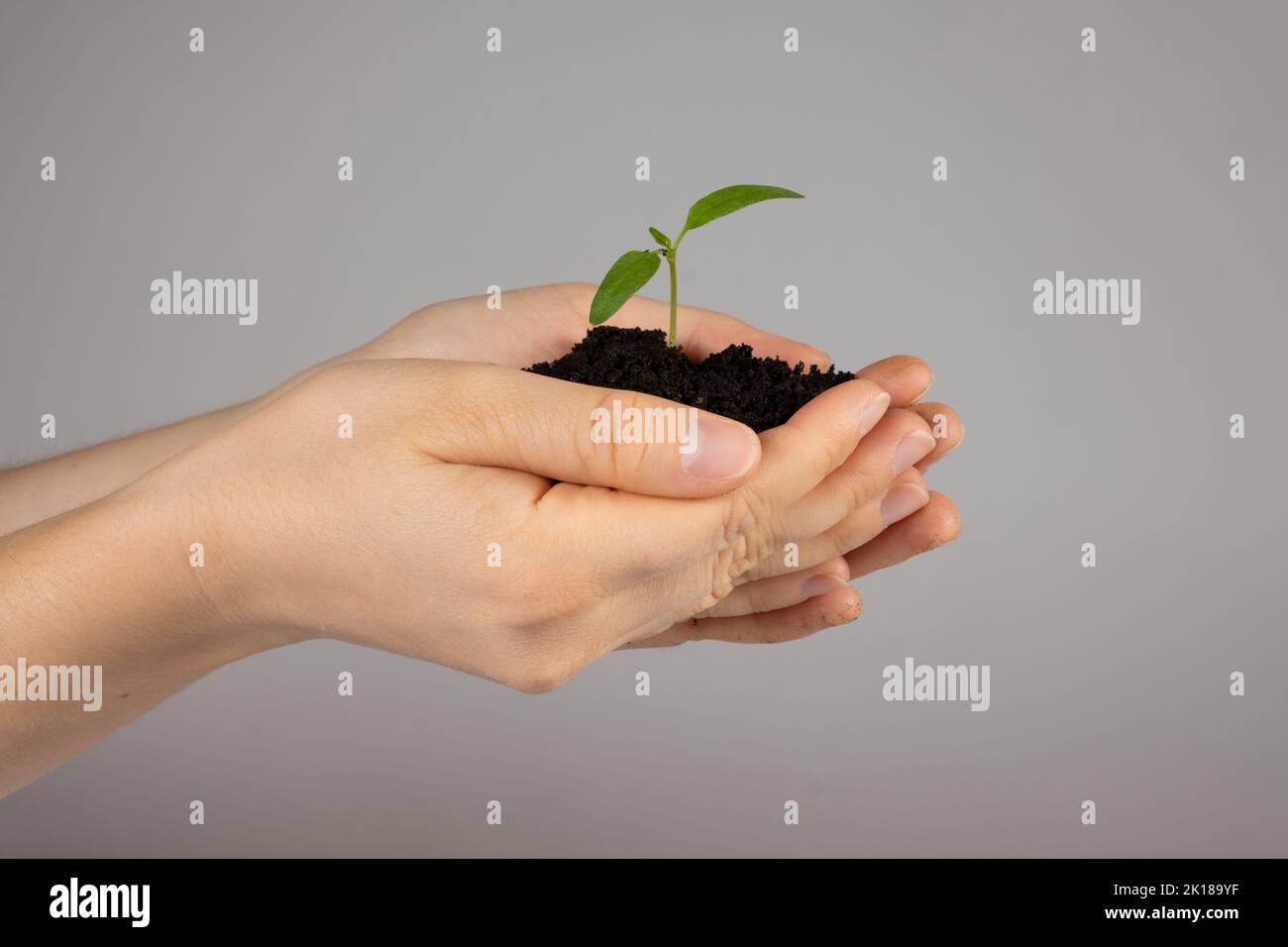 Seeding hands hi-res stock photography and images - Alamy