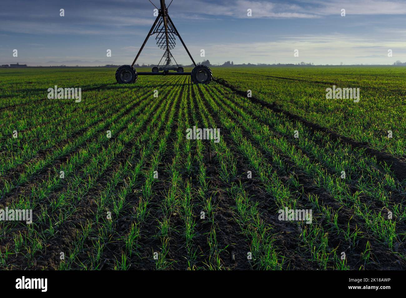 A pivot irragation system in field on a bright sunny day Stock Photo ...