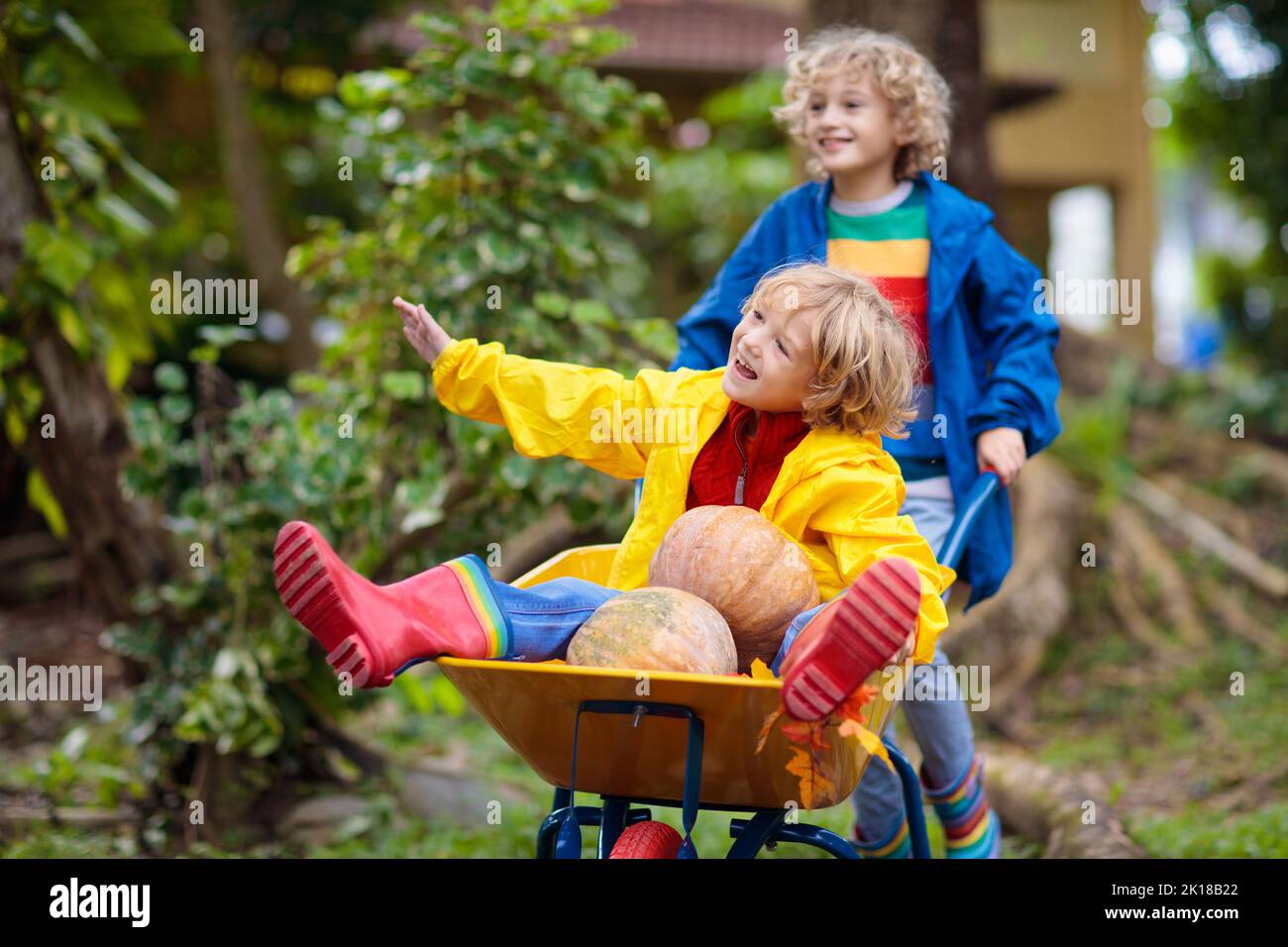 Kids in wheelbarrow on pumpkin patch. Autumn outdoor fun for children ...