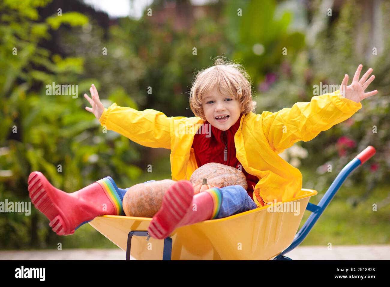 Kids in wheelbarrow on pumpkin patch. Autumn outdoor fun for children ...