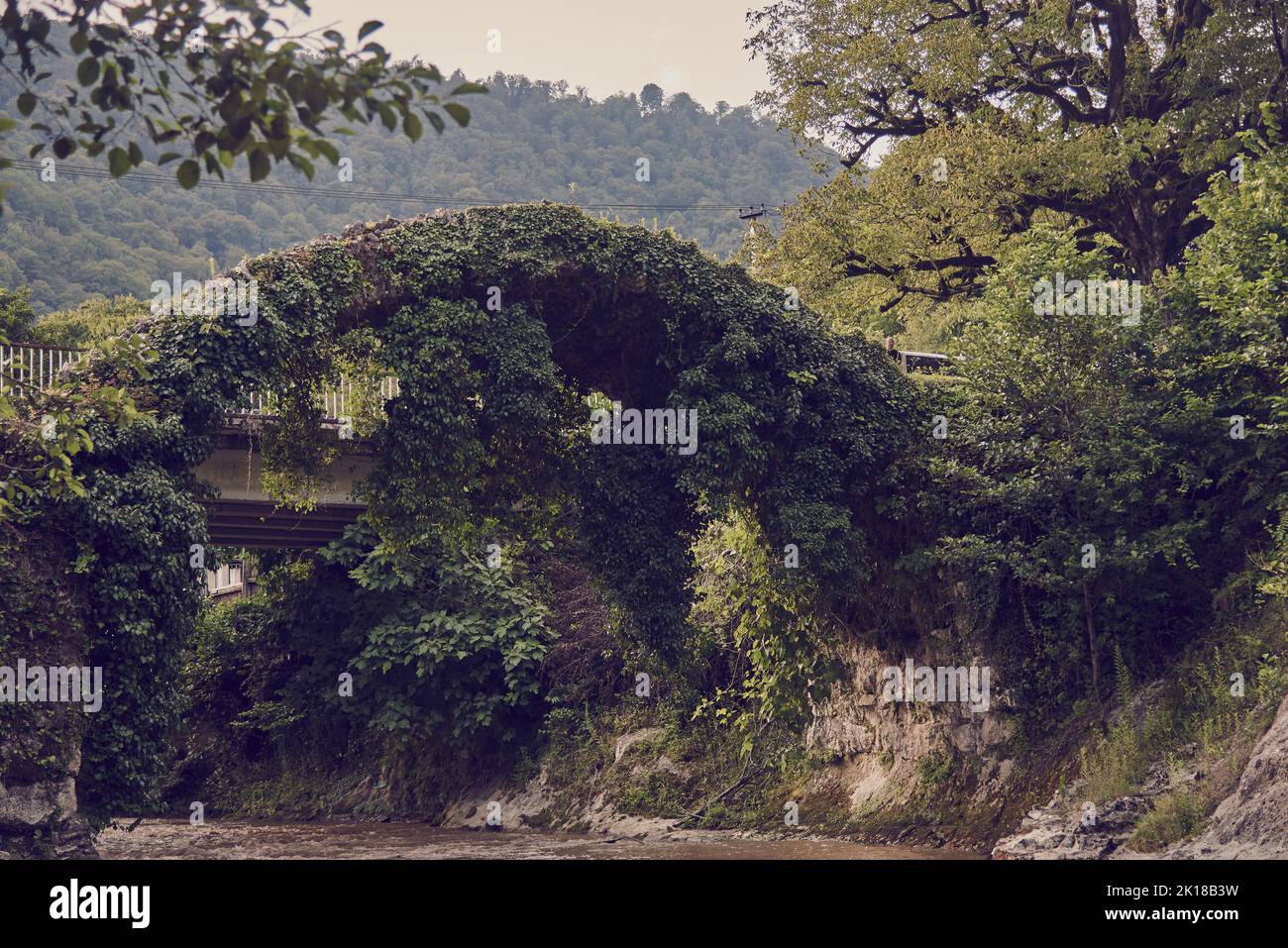 An ancient stone bridge, covered with ivy, over a fast mountain river ...