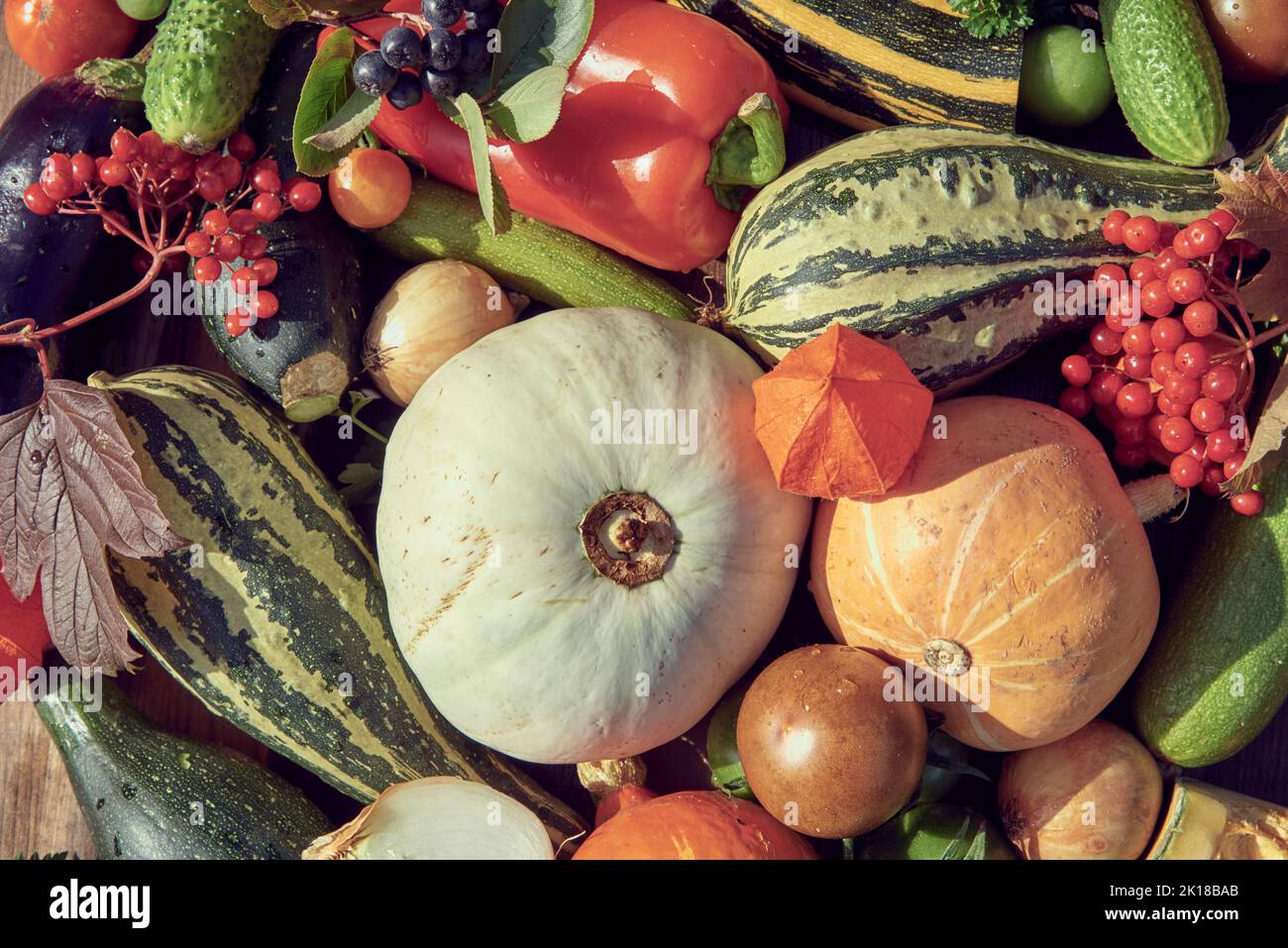 Ripe autumn vegetables and berries are laid out on the table. View from ...